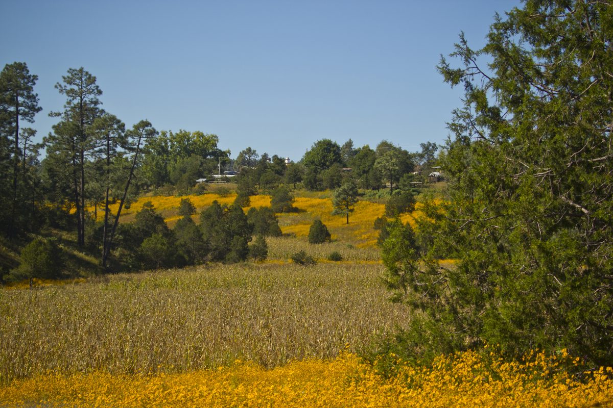 Nácori Chico | Explora Sonora