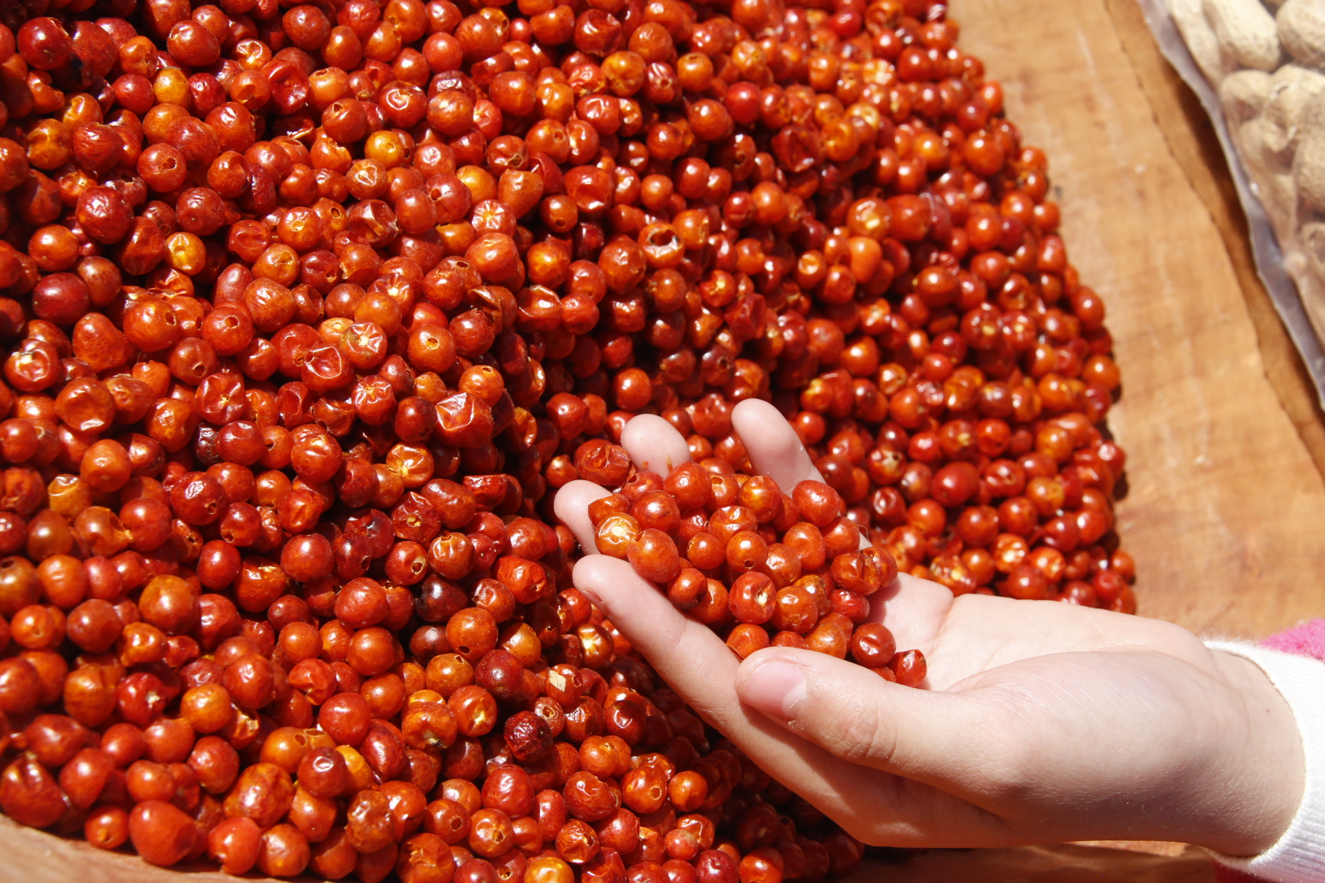 Feria del Chiltepín en Baviácora | Explora Sonora