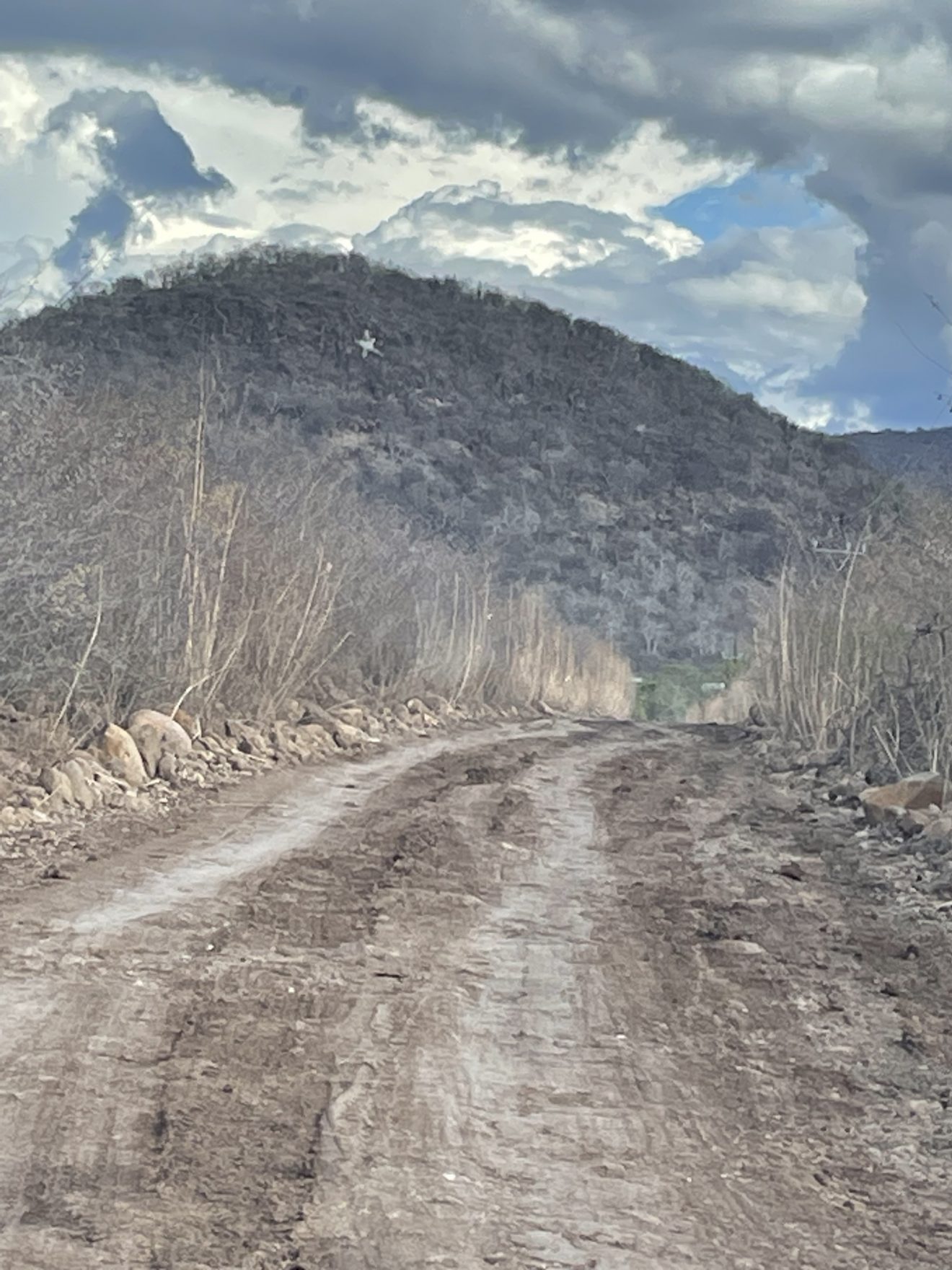 Cerca y alrededor | Rosario (Tesopaco) | Explora Sonora