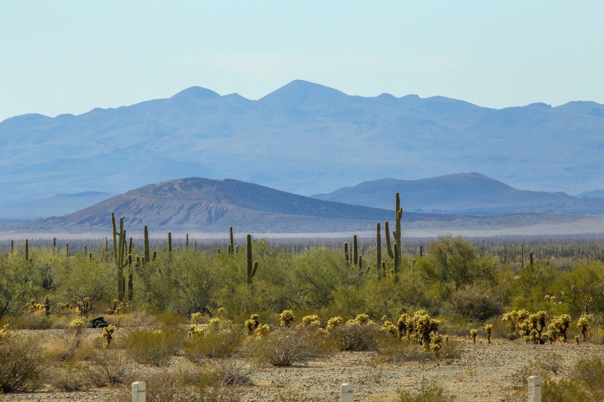 EL PINACATE, Corazón del Gran desierto de Altar | Explora Sonora