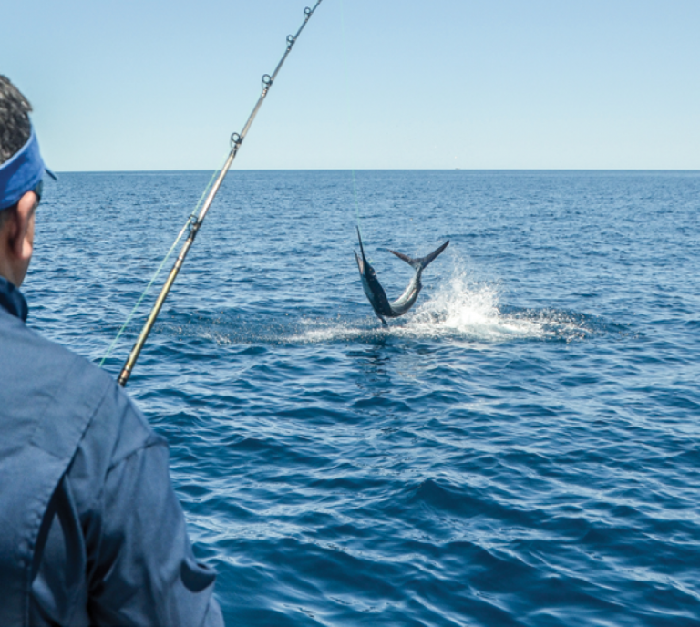 Ruta RÍO SONORA | Explora Sonora